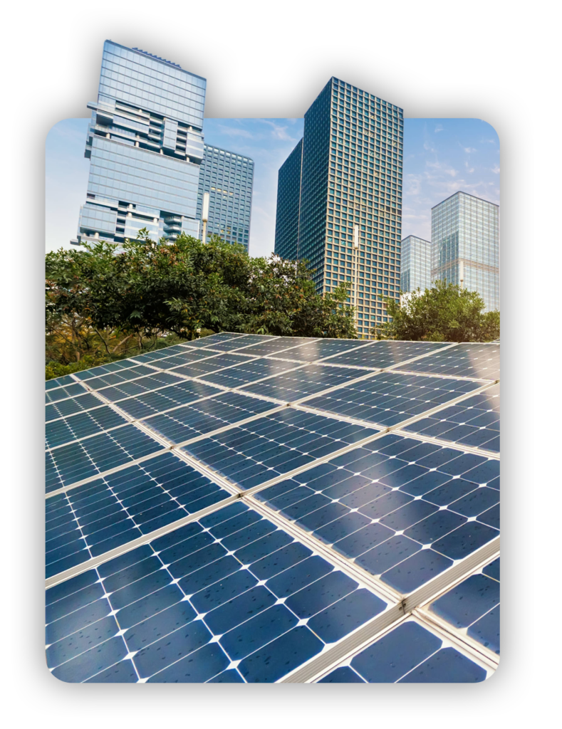Denver Solar Installers – Local, Trusted | Solar by Peak to Peak