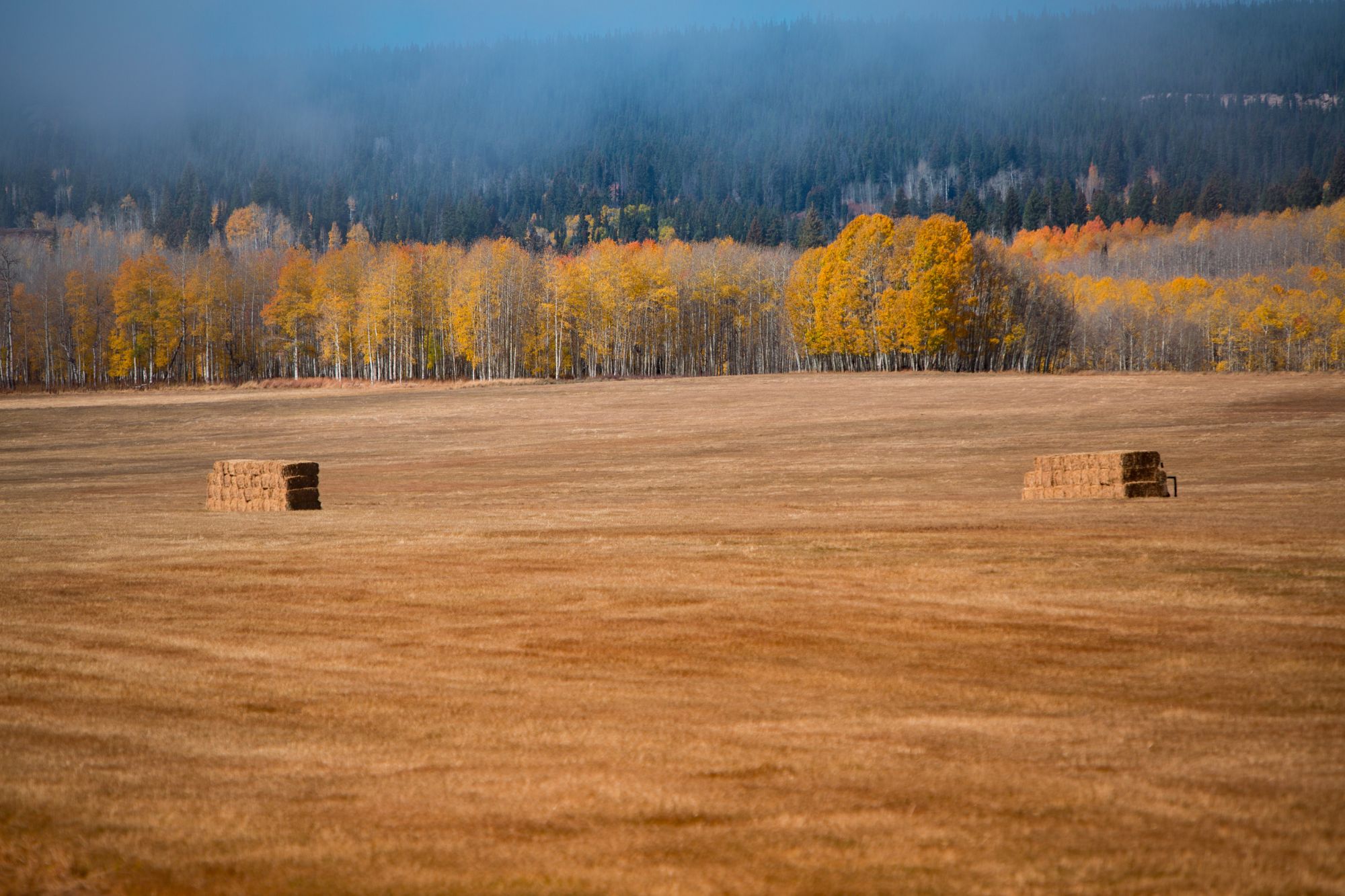 17 Mile House - Solar by Peak to Peak